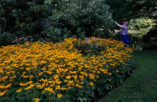 10 best spots to see spring flowers in bloom | Boston.com