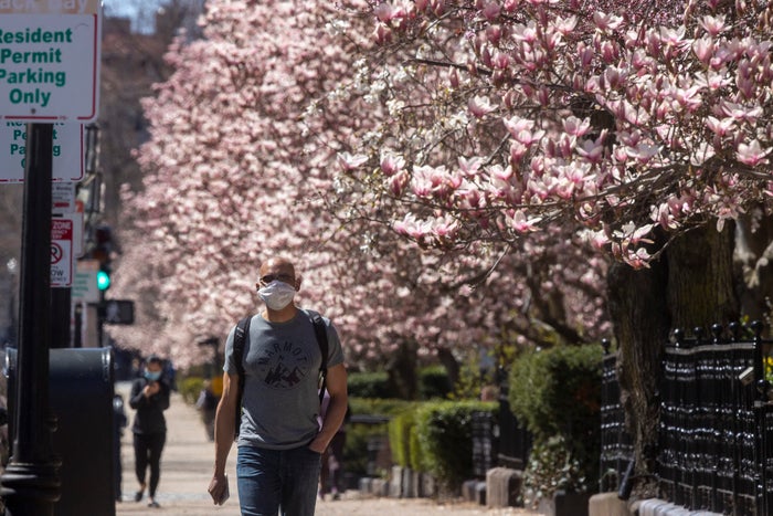 10 best spots to see spring flowers in bloom | Boston.com