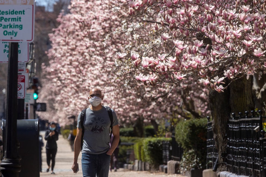10 best spots to see spring flowers in bloom | Boston.com