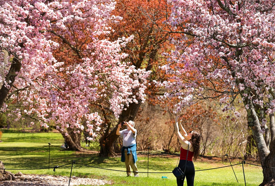 Here’s how to spend the perfect day in Jamaica Plain