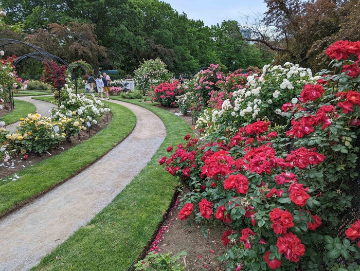 10 best spots to see spring flowers in bloom | Boston.com