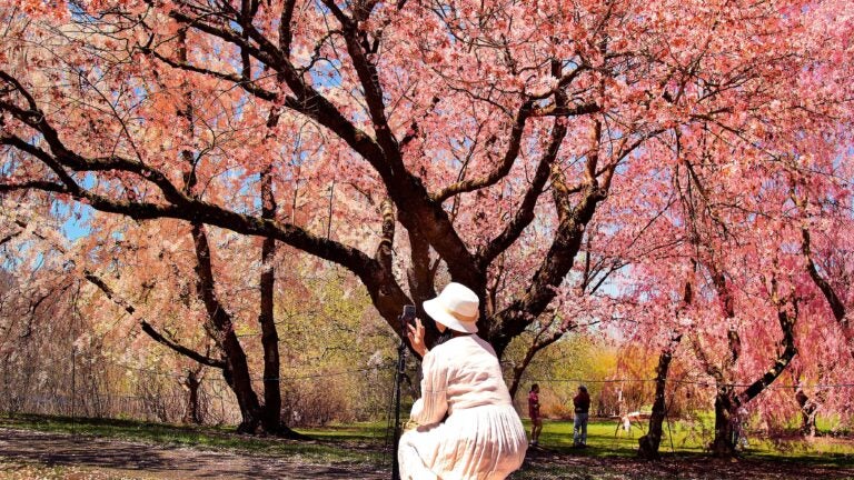 Spring outdoor activities and festivals in New England