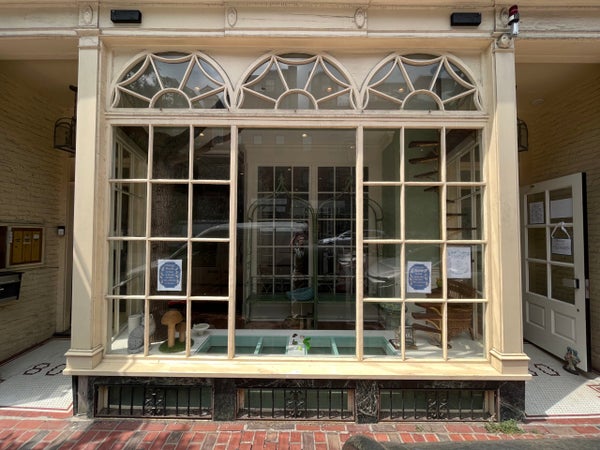 See inside: Boston's only cat cafe is now open