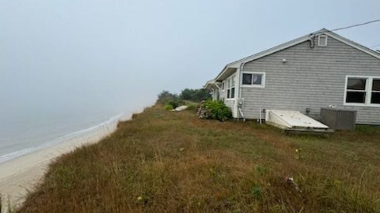 You may think he's crazy, but this Cape homeowner is OK with that