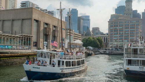 Baby whale in Boston Harbor causing ferry delays, MBTA says