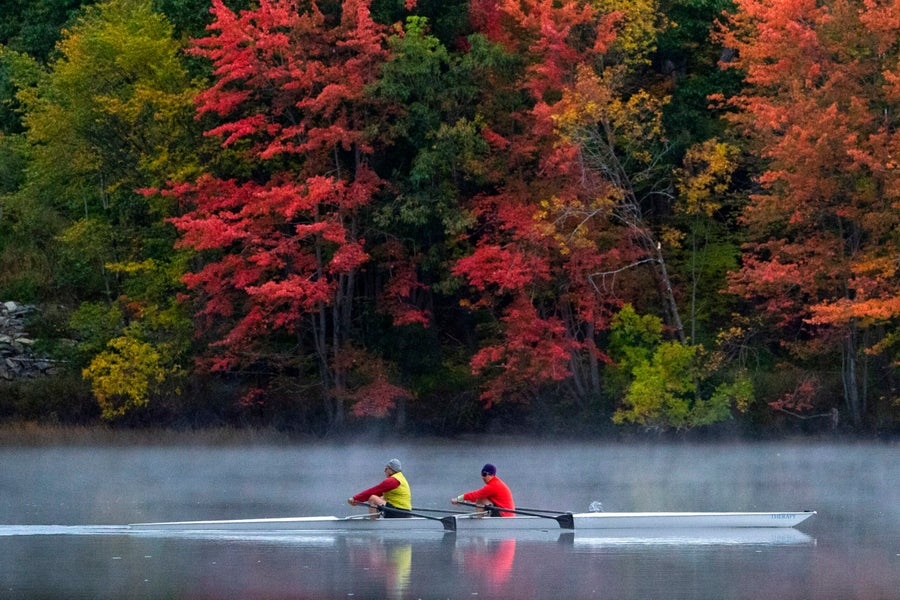 2024 fall foliage: Maps, dates for best fall colors in New England
