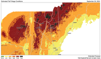 2024 fall foliage: Maps, dates for best fall colors in New England