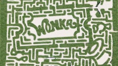 A Wonka-themed maze is opening this week in Massachusetts