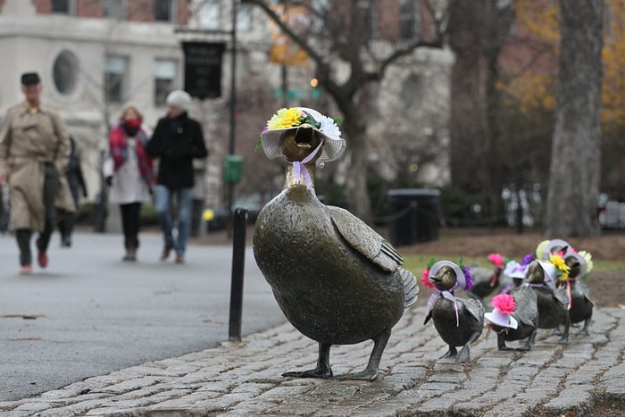 Who dresses the 'Make Way for Ducklings' ducks?