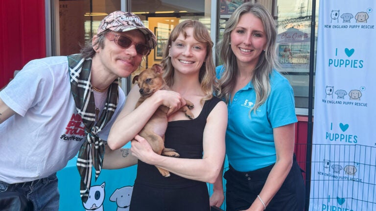 Cage the Elephant adopts 'new band member' from New England Puppy Rescue