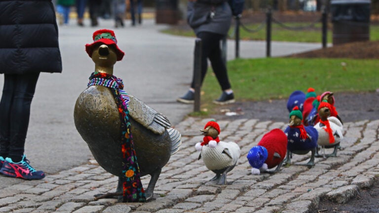 Who dresses the 'Make Way for Ducklings' ducks?