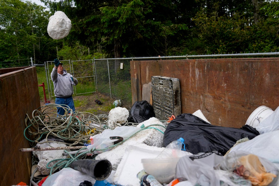 What happens when lost at sea shipping containers burst open?