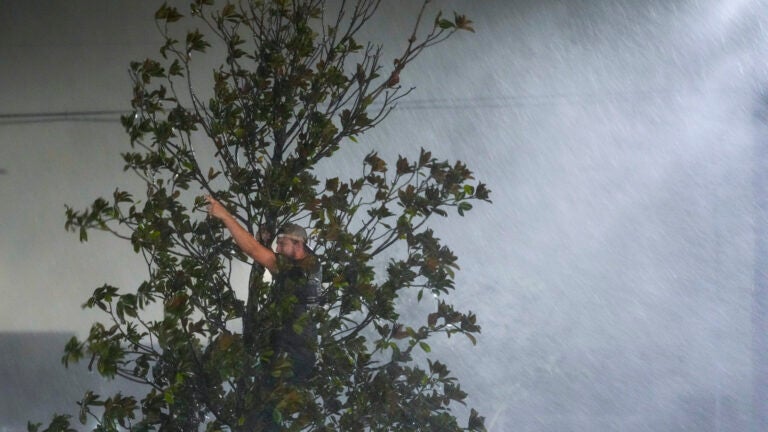 Hurricane Milton shreds the roof of the Tampa Bay Rays’ stadium