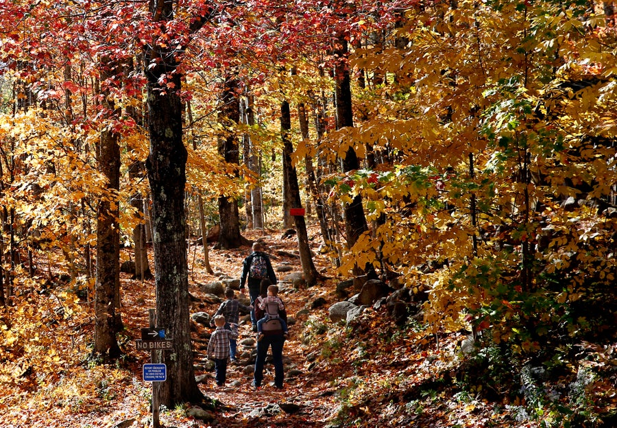 Leaf peepers: Where’s the best fall foliage in New England?