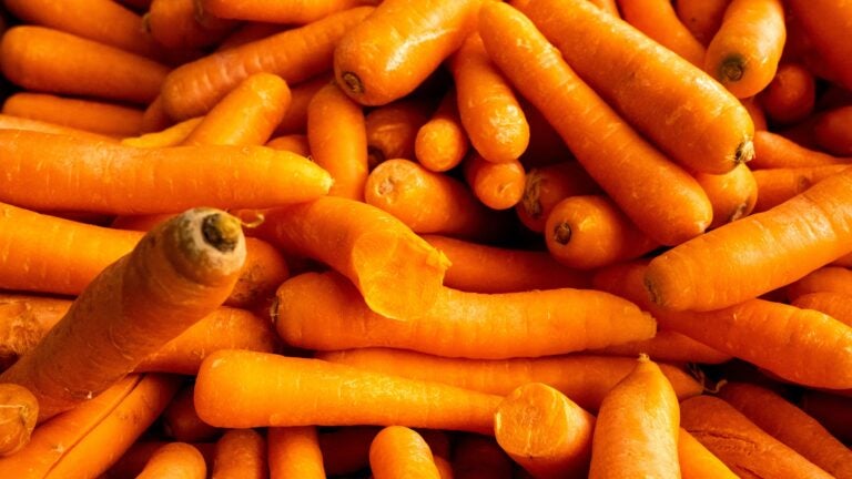 Dozens are sickened, 1 dead after eating contaminated carrots