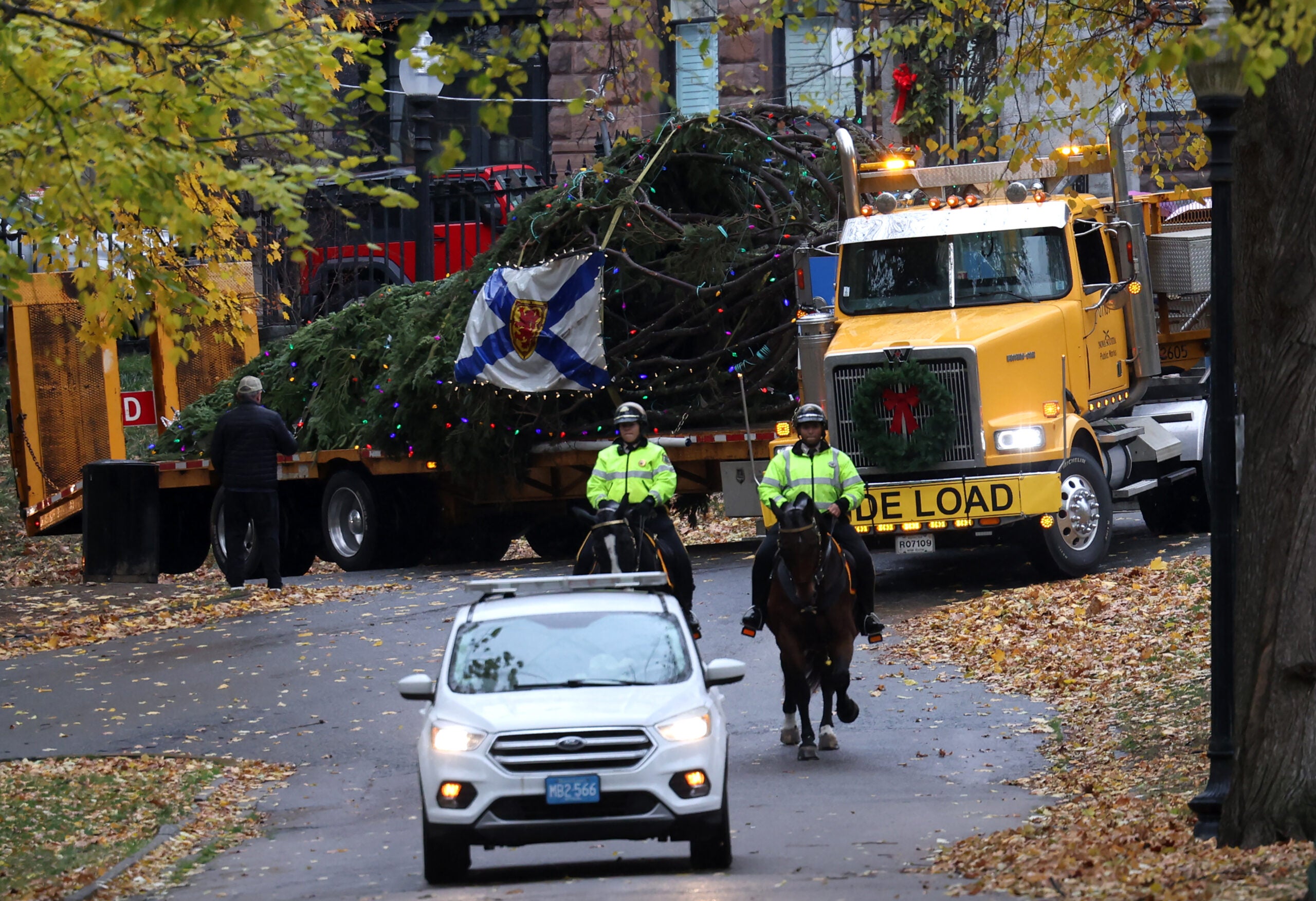 Everything you need to know about the Boston Common tree lighting ...