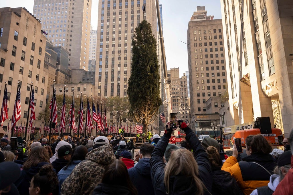 Rockefeller Center Christmas Tree from Mass. arrives in NYC