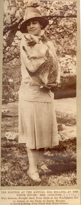 Why did Calvin Coolidge pardon a raccoon for Thanksgiving?