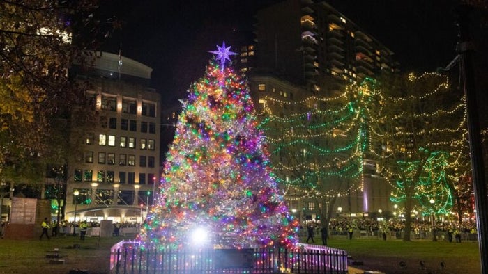 Where to see holiday lights around Boston this season | Boston.com
