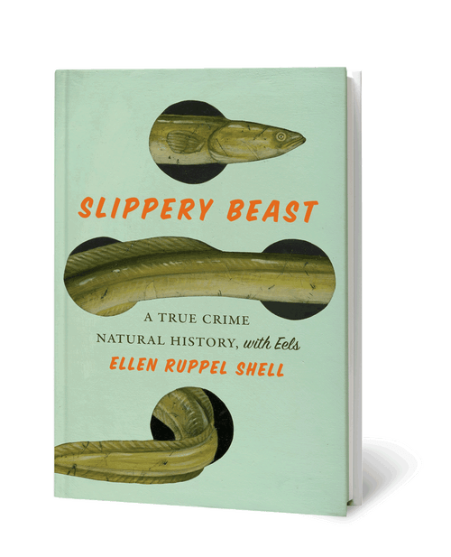 Book Club’s December read is 'Slippery Beast' by Ellen Ruppel Shell ...