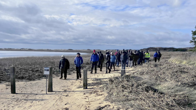 Explore nature in the new year with First Day Hikes Cape Cod | Boston.com
