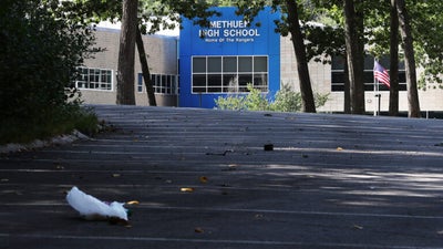 In wake of theater closure, Mass. city launching all-out attack on mice ...