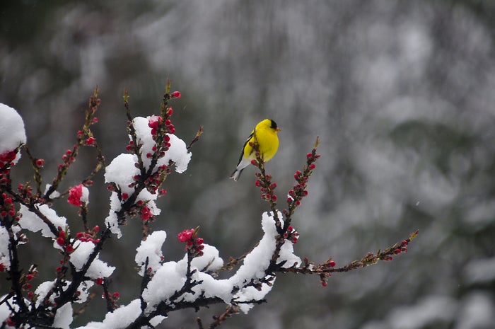 10 free things to do in Boston in January