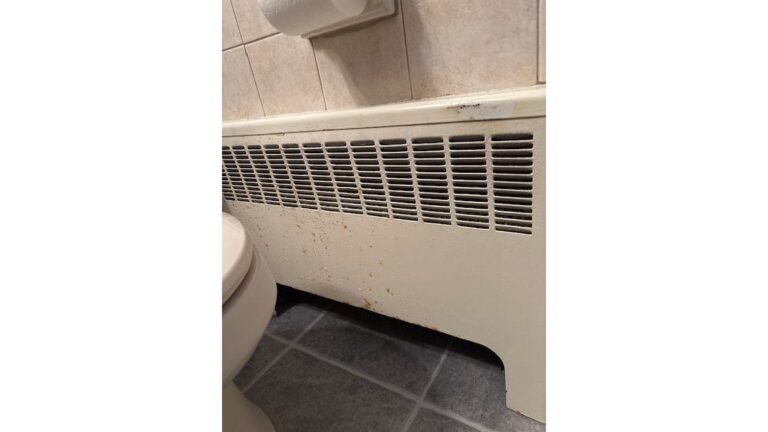 Ask the Remodeler: That rusty radiator cover has to go. Or does it?