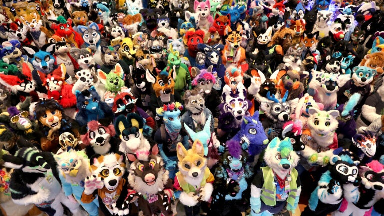 The furries are back in Boston this weekend. Here's what to know ...
