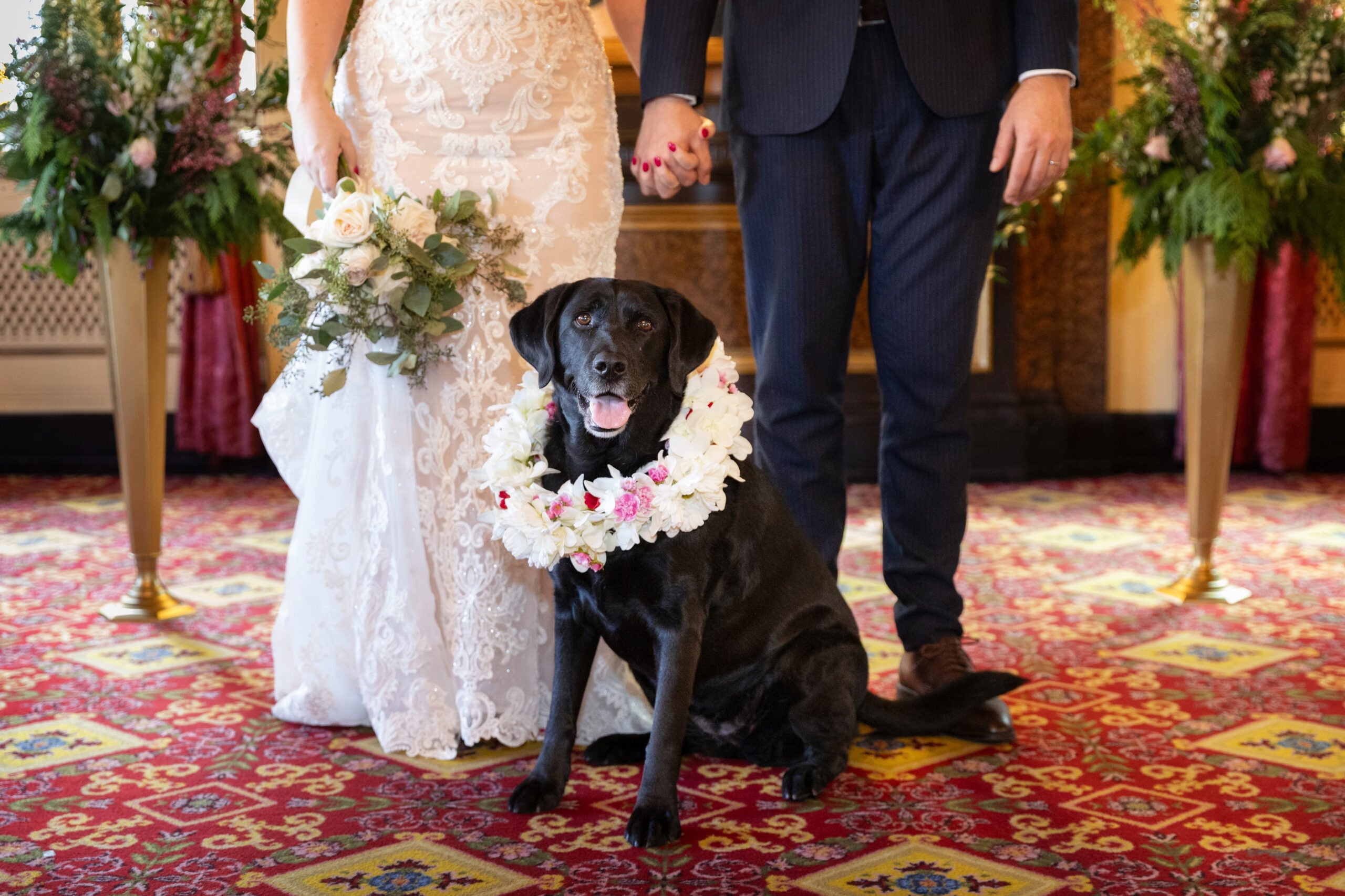 Dalmatian Wedding The Knot Special Dog Wedding Issue By The Knot