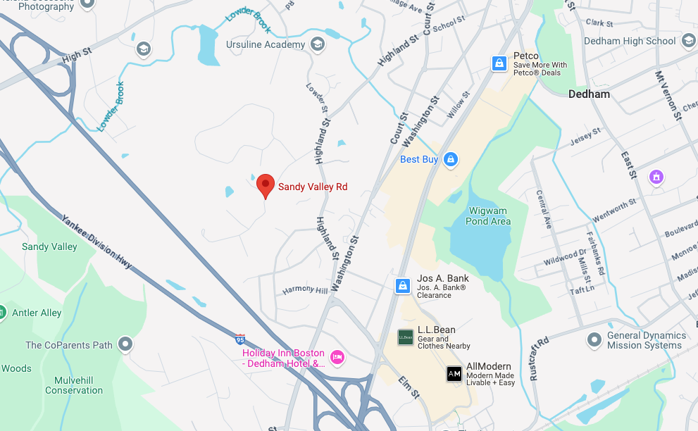 Fox that attacked Dedham boy was rabid, officials say