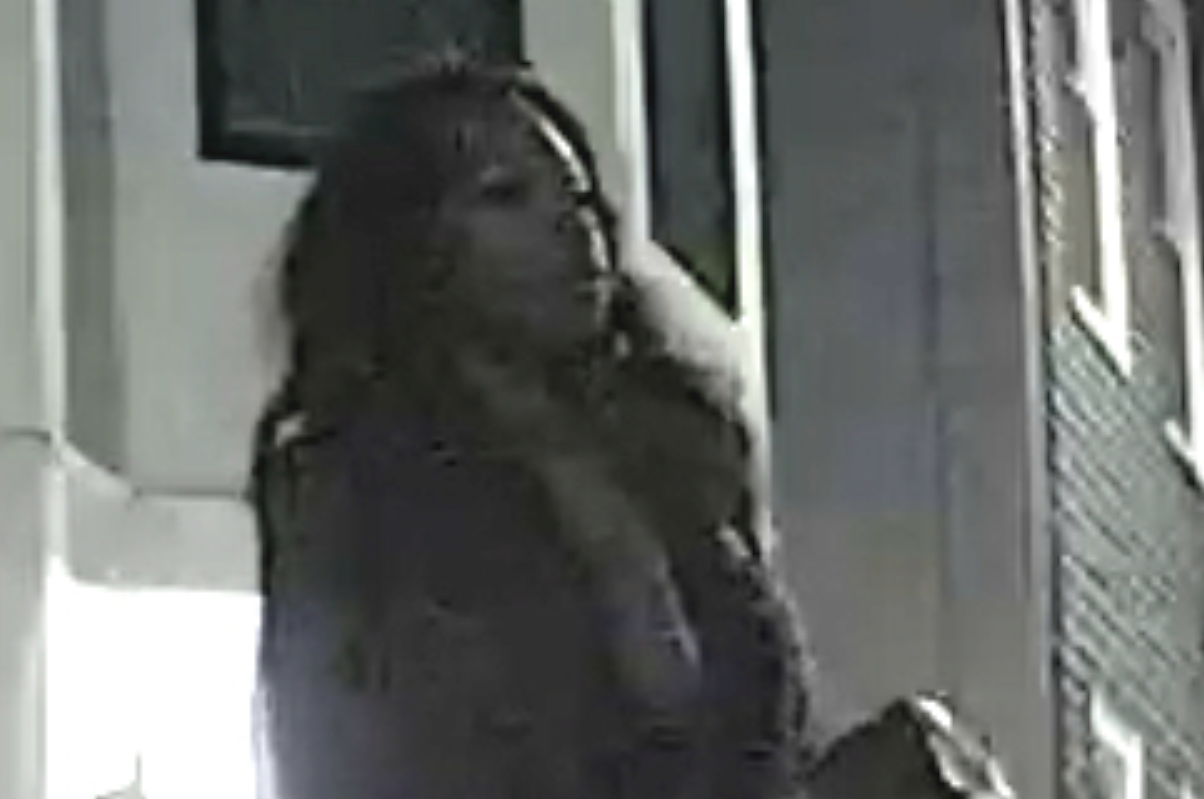 Boston police release photos of another alleged Tesla vandal