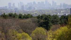 It's not your imagination, air quality in Boston is getting worse
