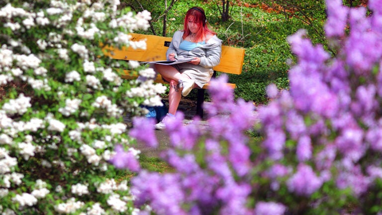 Best parks and green spaces in Greater Boston and beyond, 2025