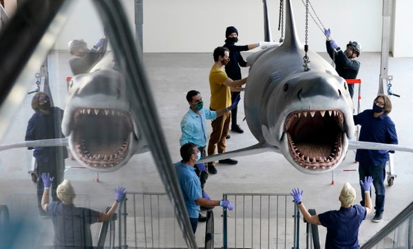 What it was like to see ‘Jaws’ for the first time, according to readers