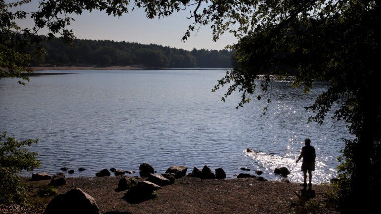 MBTA to expand bus service to Houghton’s Pond this summer