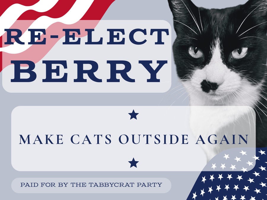 There's an upcoming election in Somerville, and the claws are out