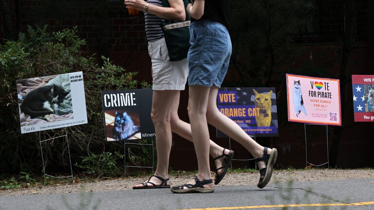 There's an upcoming election in Somerville, and the claws are out