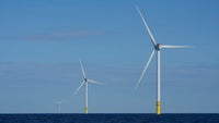 Trump halts work on New England offshore wind project