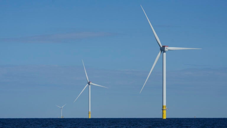 Trump halts work on New England offshore wind project