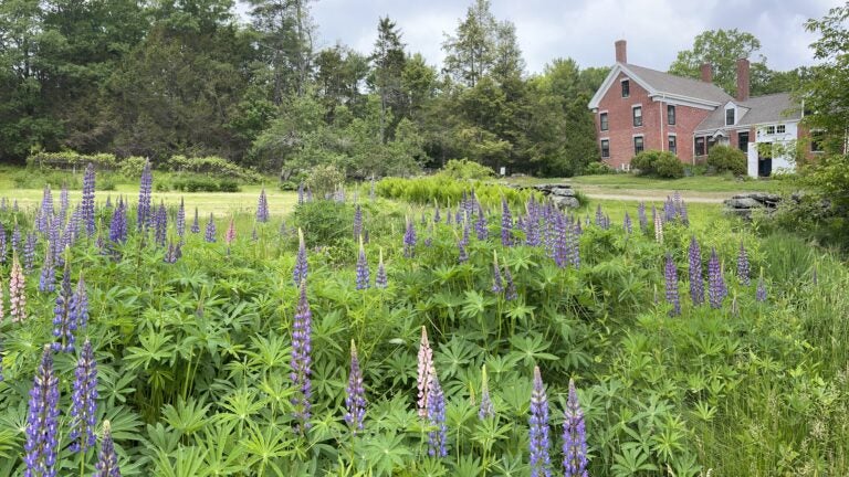 Explore a new national monument in Maine