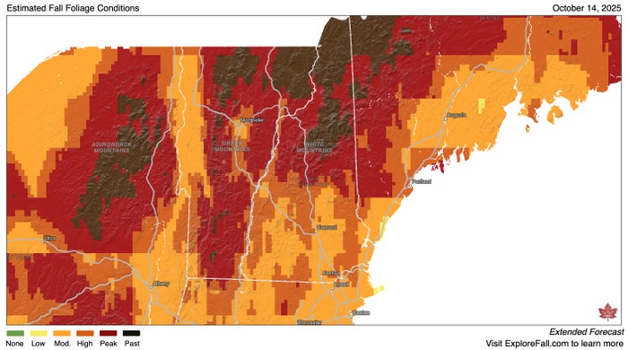 2025 fall foliage: Maps, dates for best fall colors in New England