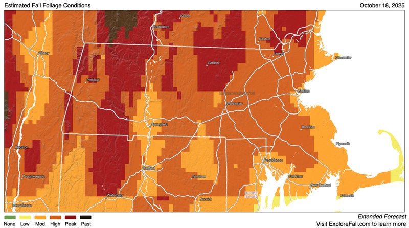 2025 fall foliage: Maps, dates for best fall colors in New England