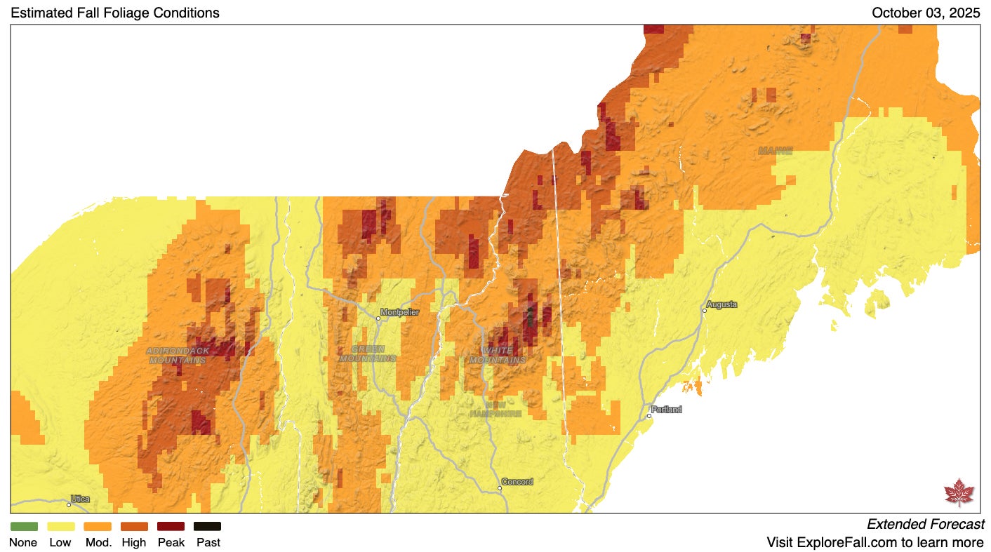 2025 fall foliage: Maps, dates for best fall colors in New England