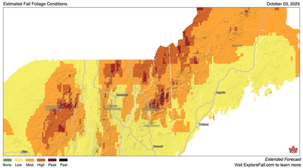 2025 fall foliage: Maps, dates for best fall colors in New England
