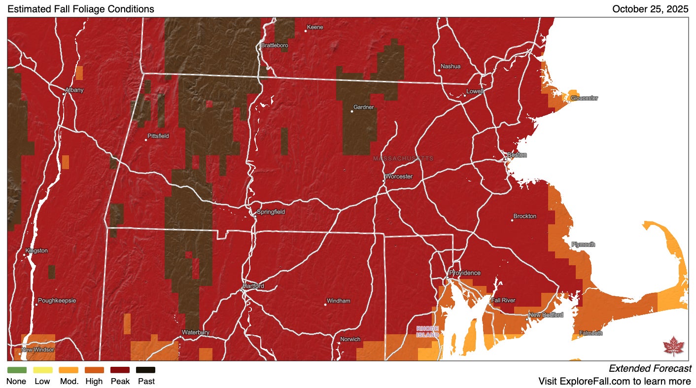 2025 fall foliage: Maps, dates for best fall colors in New England