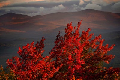 2025 fall foliage: Maps, dates for best fall colors in New England