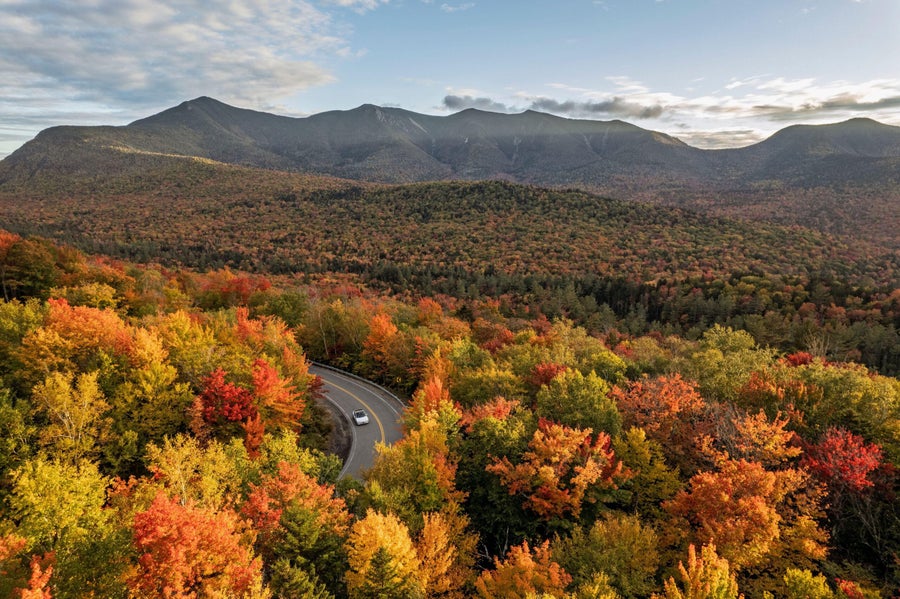 Explore these top 5 scenic drives in New England for fall foliage
