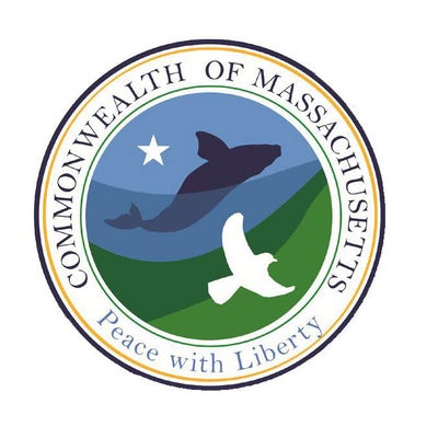 More than 3,400 voted: The top state flag, seal, and motto finalists