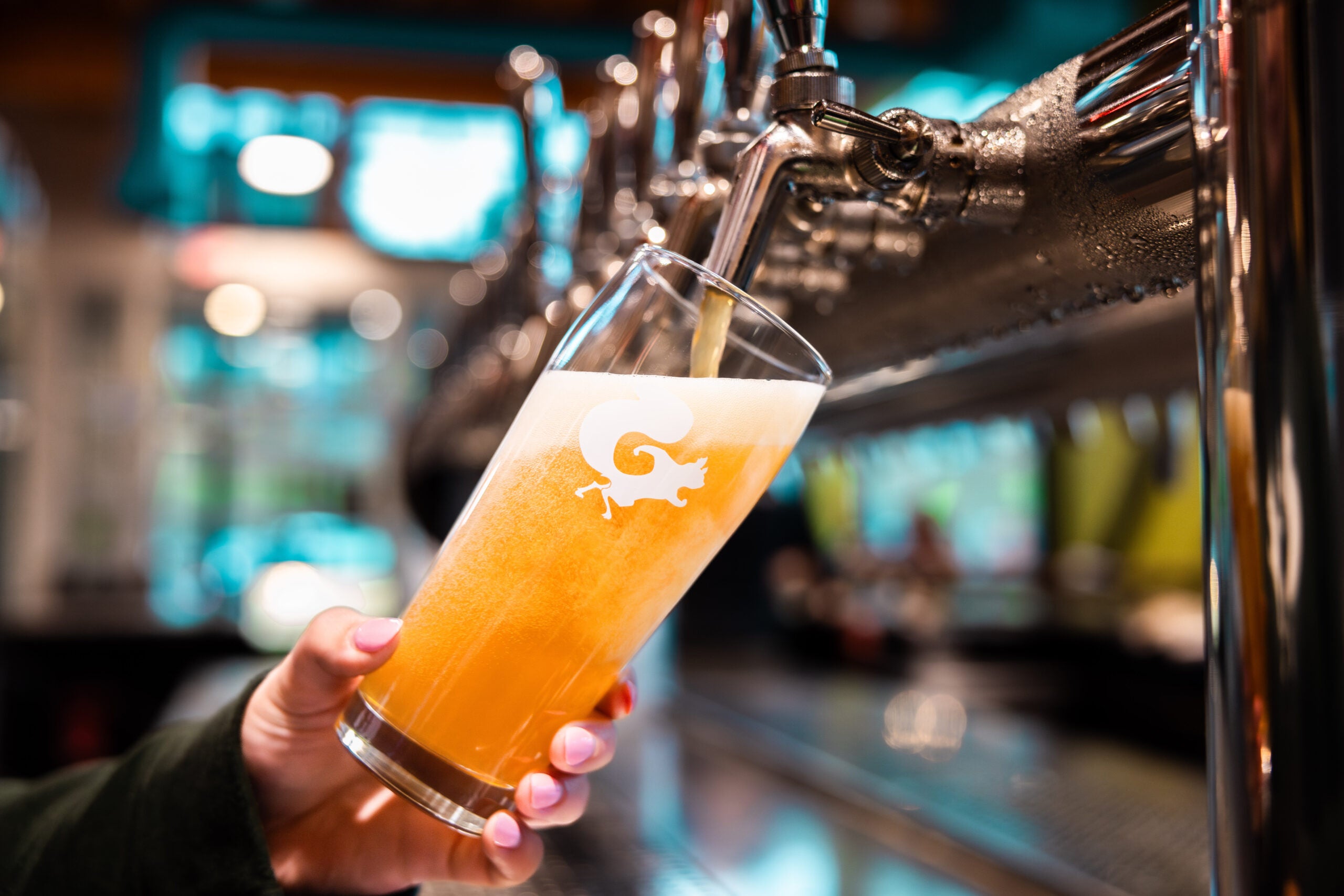 Best craft breweries in Massachusetts to visit this year